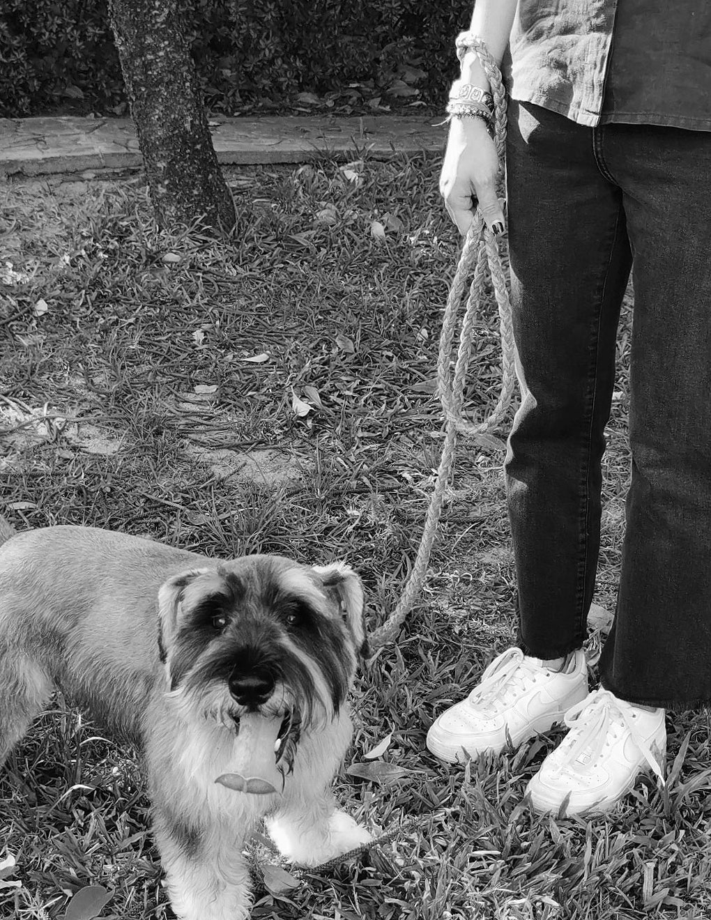 Dog Leash : Emerald Sky Blue – MUUNSAN