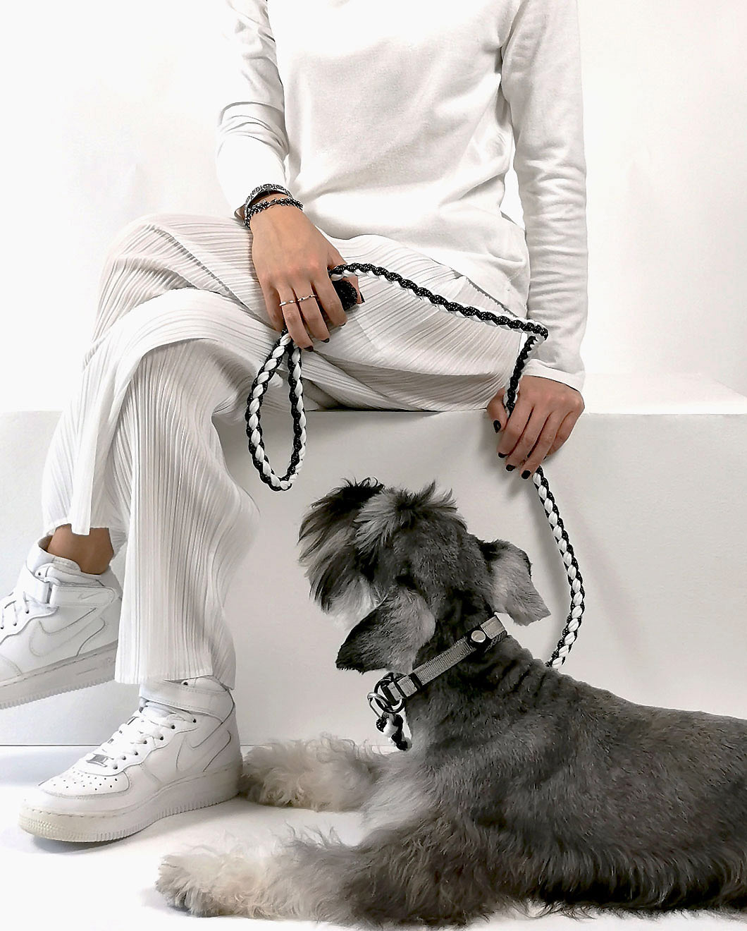 Dog Leash : White Starry Night – MUUNSAN